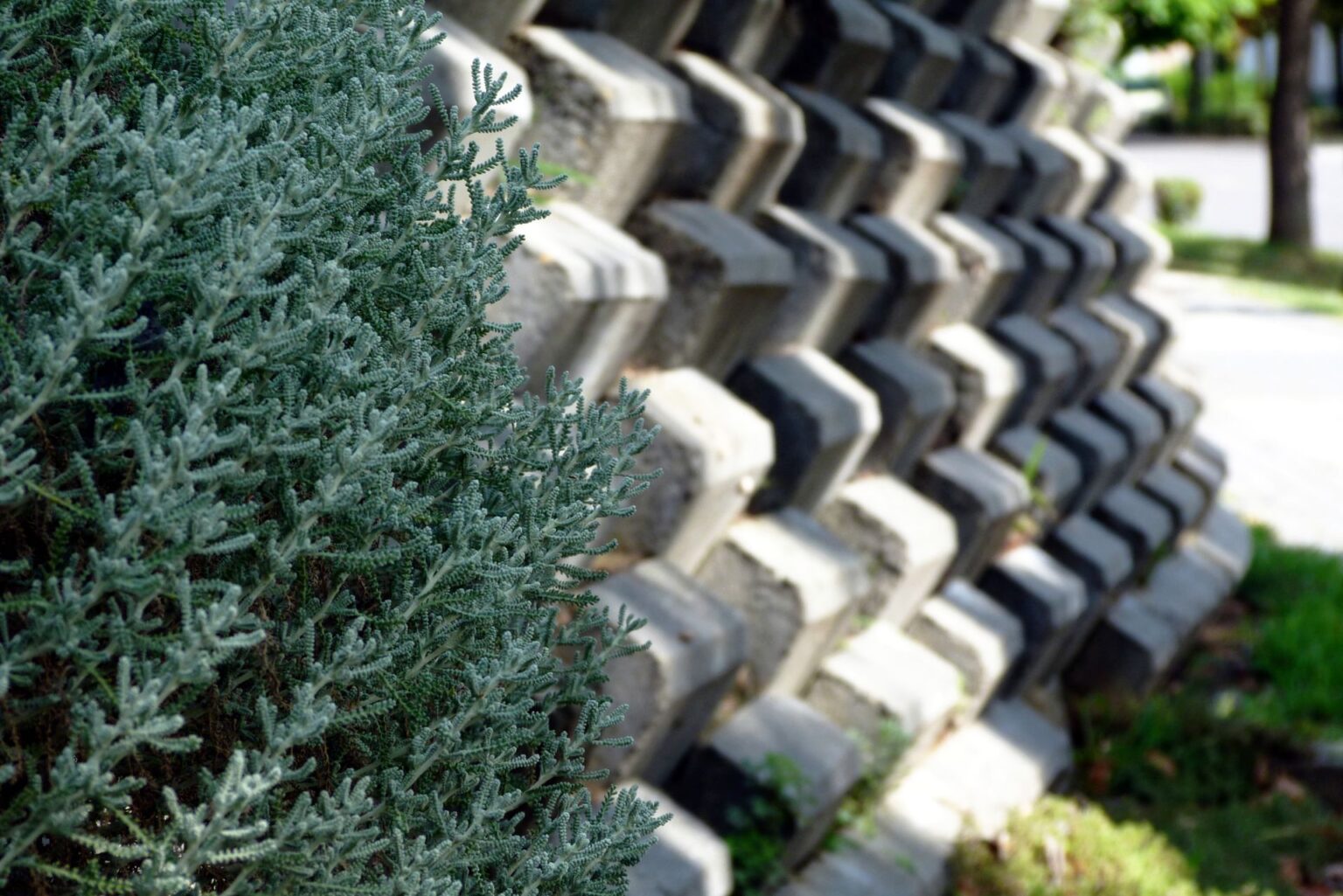Ultimate Guide To Retaining Wall Regulations NZ - Retaining Wall ...